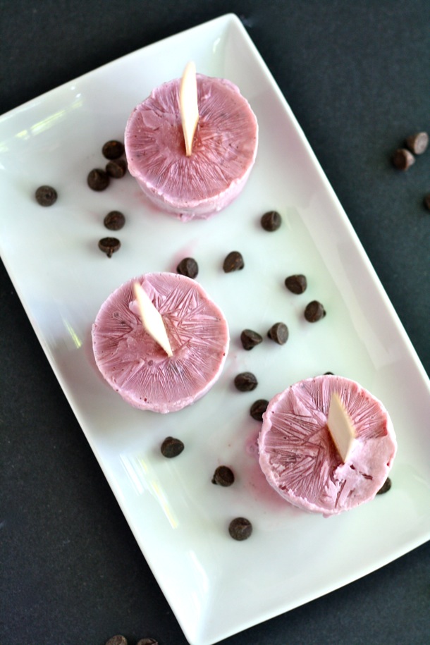FROZEN RASPBERRY CHOCOLATE CHUNK GREEK YOGURT POPS | cait's plate