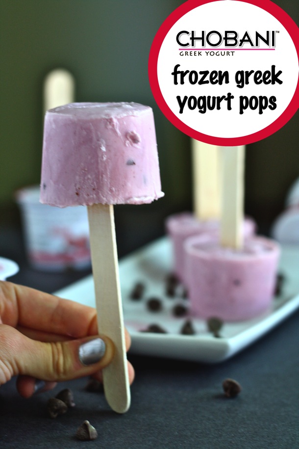 FROZEN RASPBERRY CHOCOLATE CHUNK GREEK YOGURT POPS | cait's plate