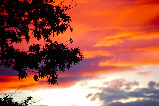 weekend scenes: from the biltmore estate | cait's plate