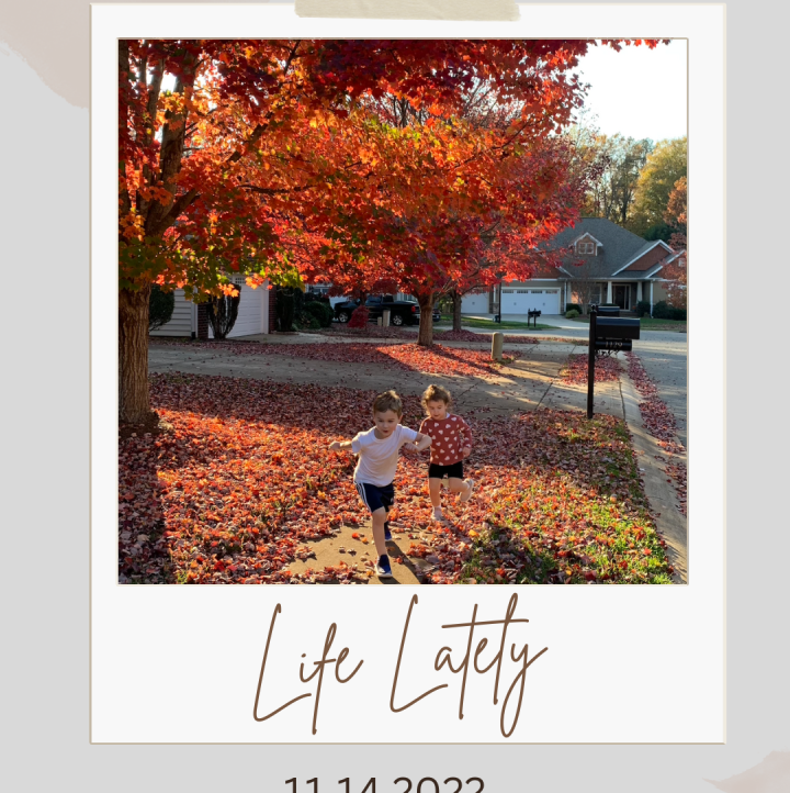 cait's plate - easy recipes - registered dietitian